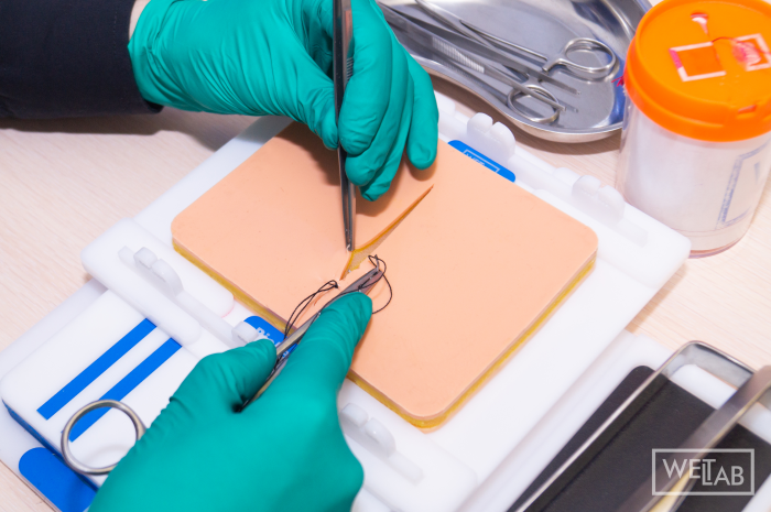 Basic Surgery Module - WETLAB